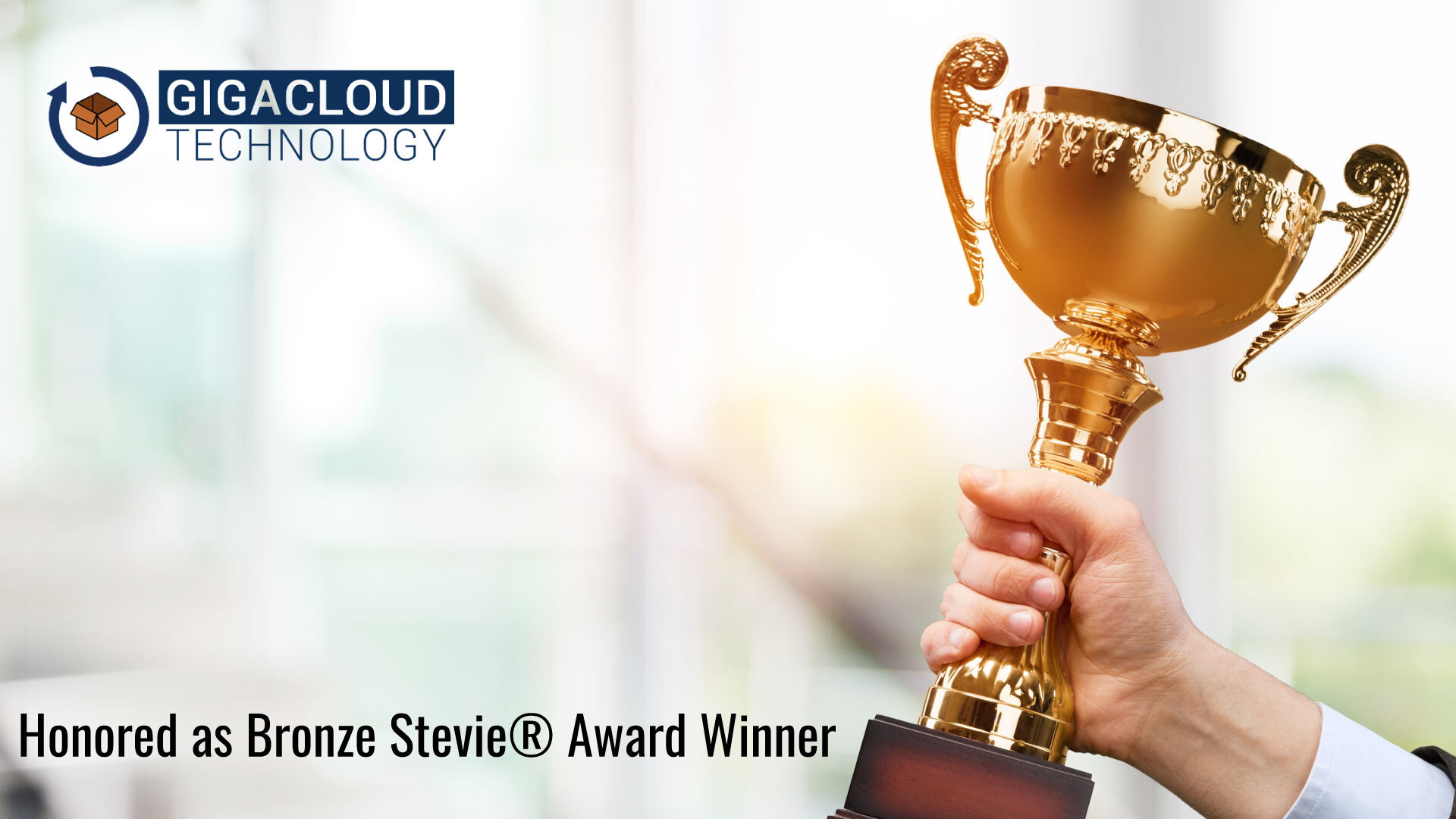 GigaCloud Technology Inc Honored as Bronze Stevie® Award Winner in 2023 American Business Awards ...