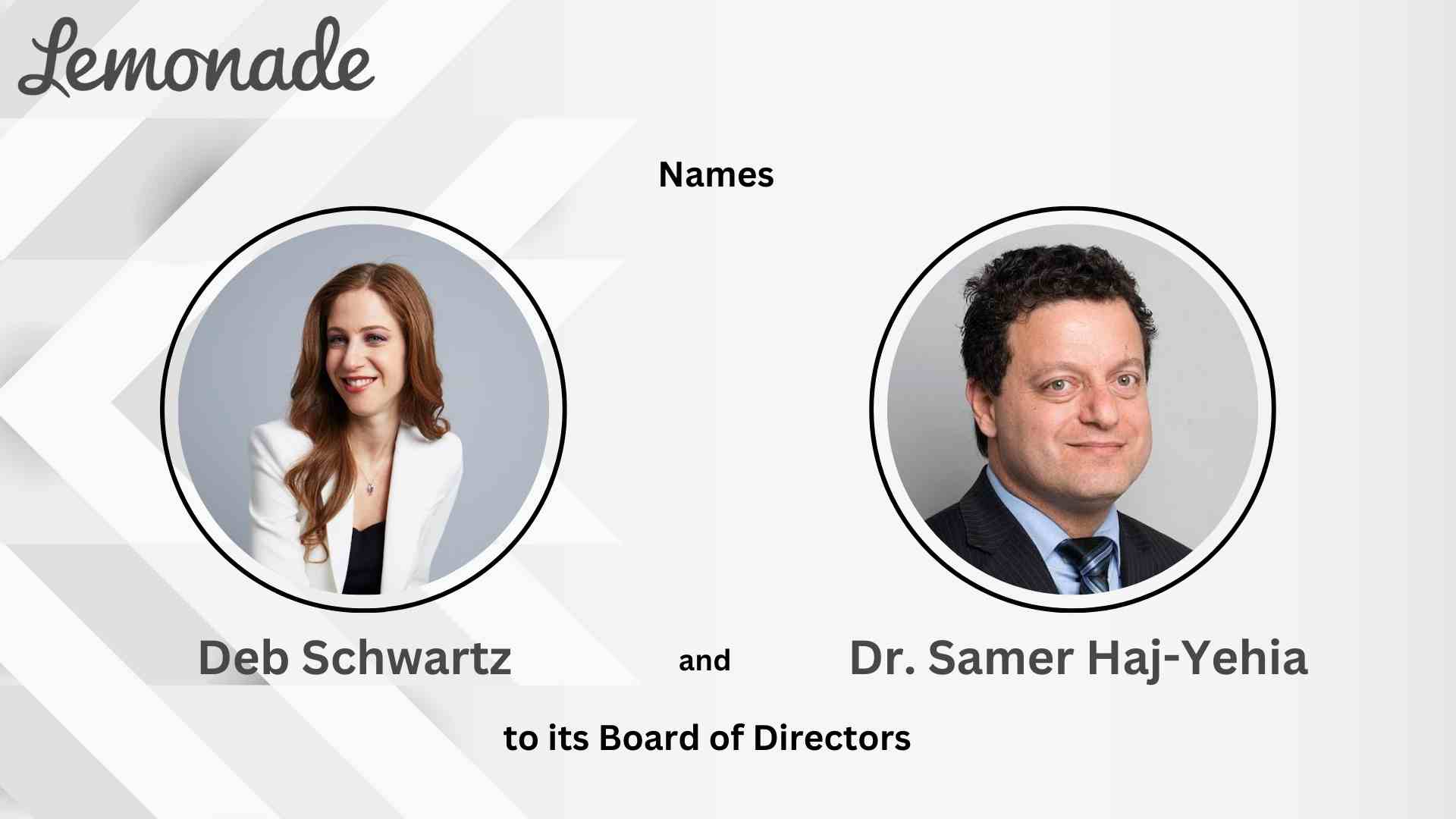 Lemonade Names Deb Schwartz and Dr. Samer Haj-Yehia to its Board of Directors | Martech Edge ...